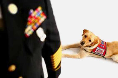 Star-Spangled Fish | USAFish.com - Christian Fish USA Flag - Old Glory ...